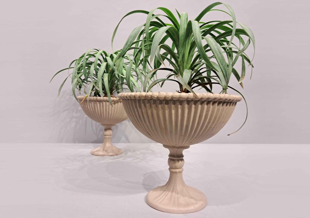 Goblet Planter – Bareeki