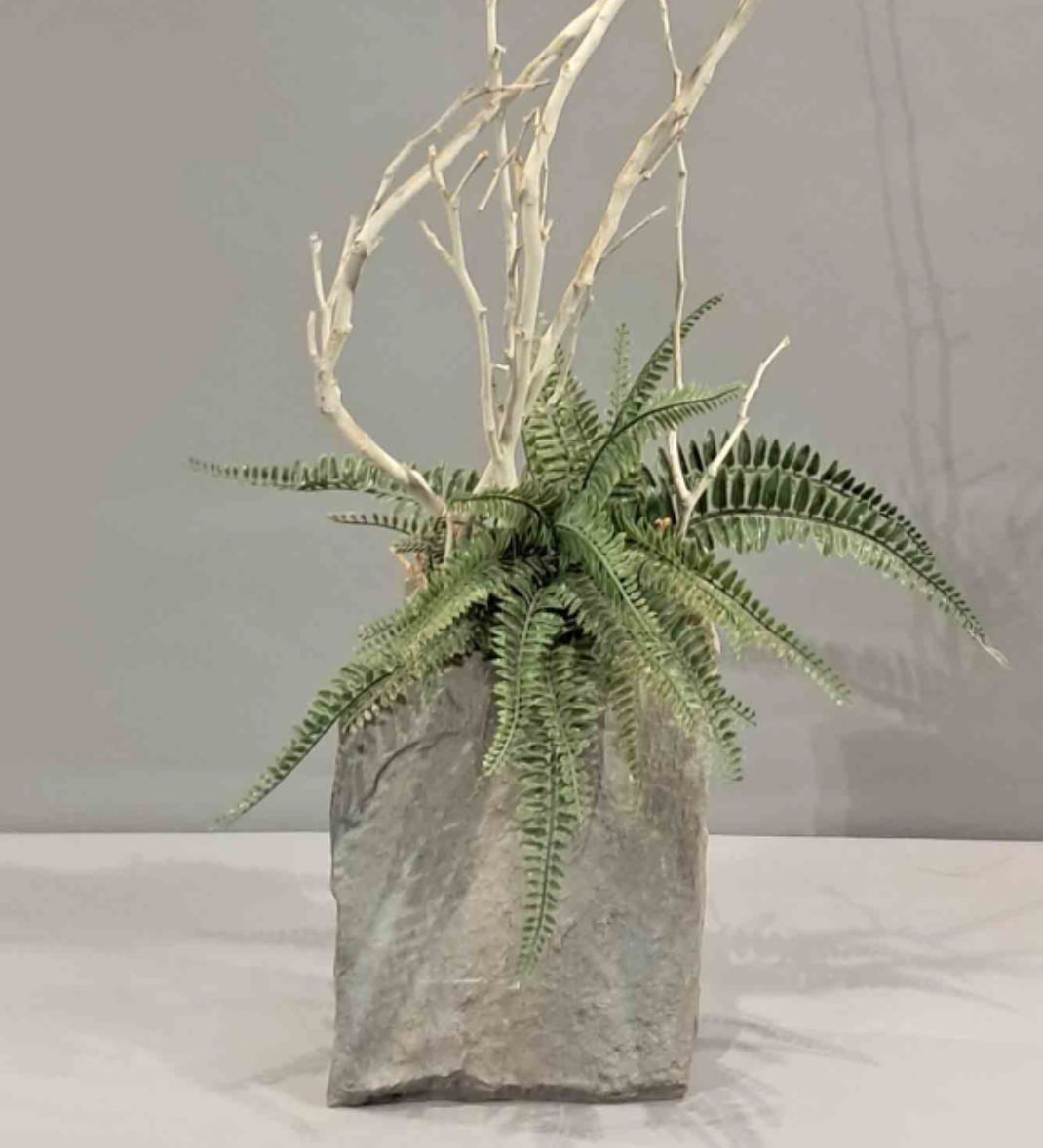 Bruta Planter – Bareeki