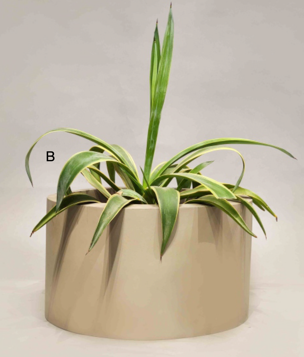 Stillroot Group Planters – Bareeki
