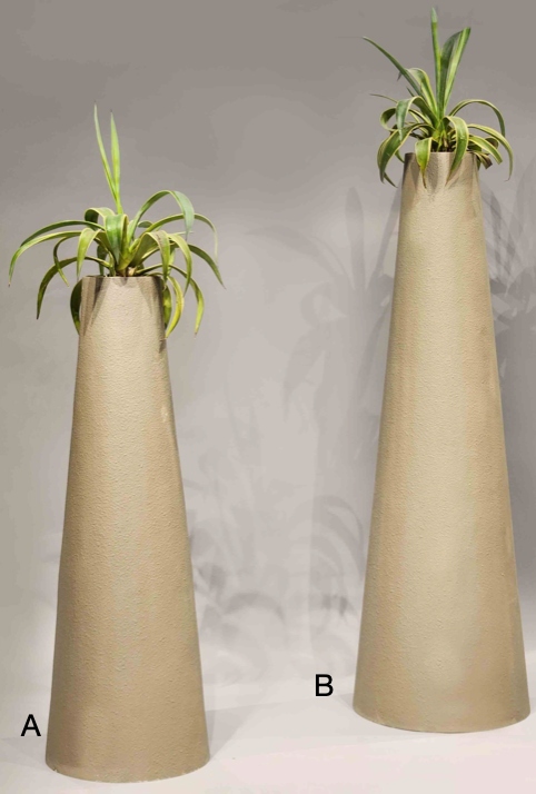 Rootrise Planter – Bareeki