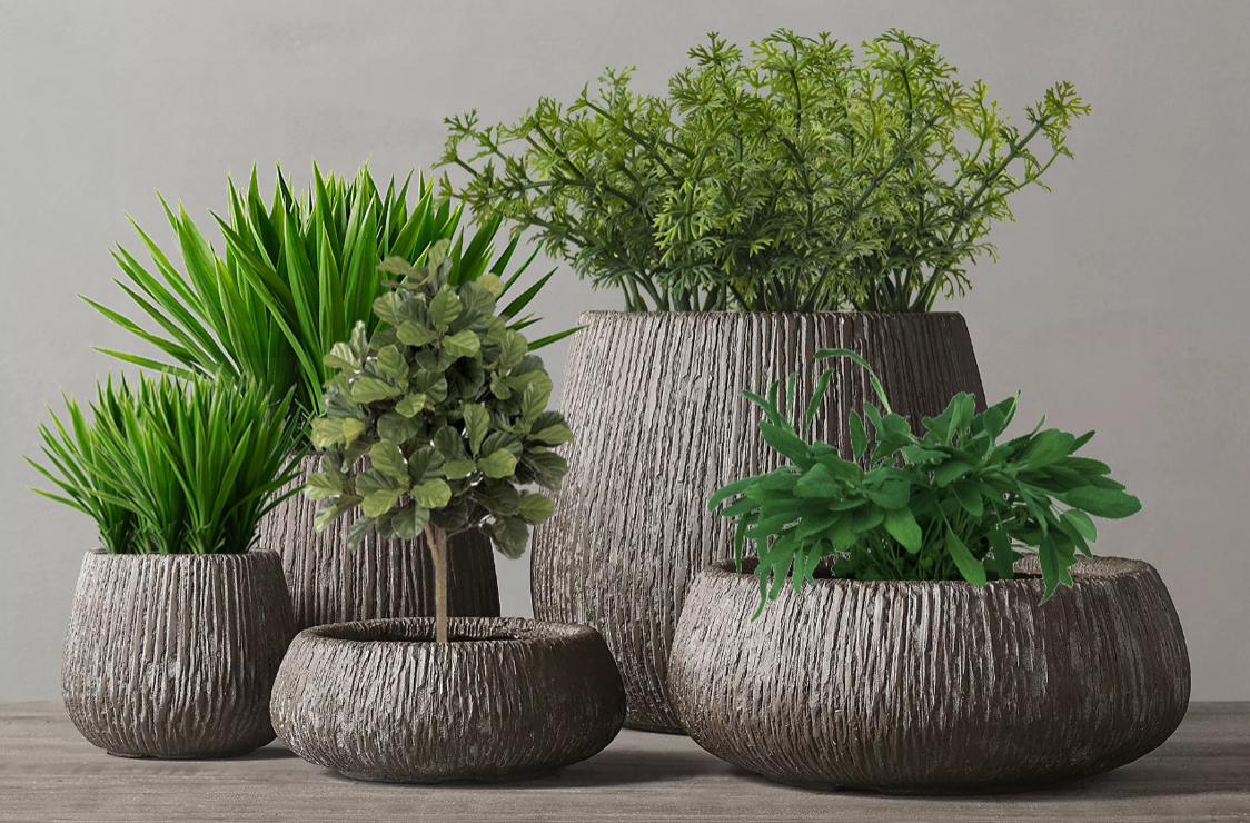 Quintus Series – Bareeki