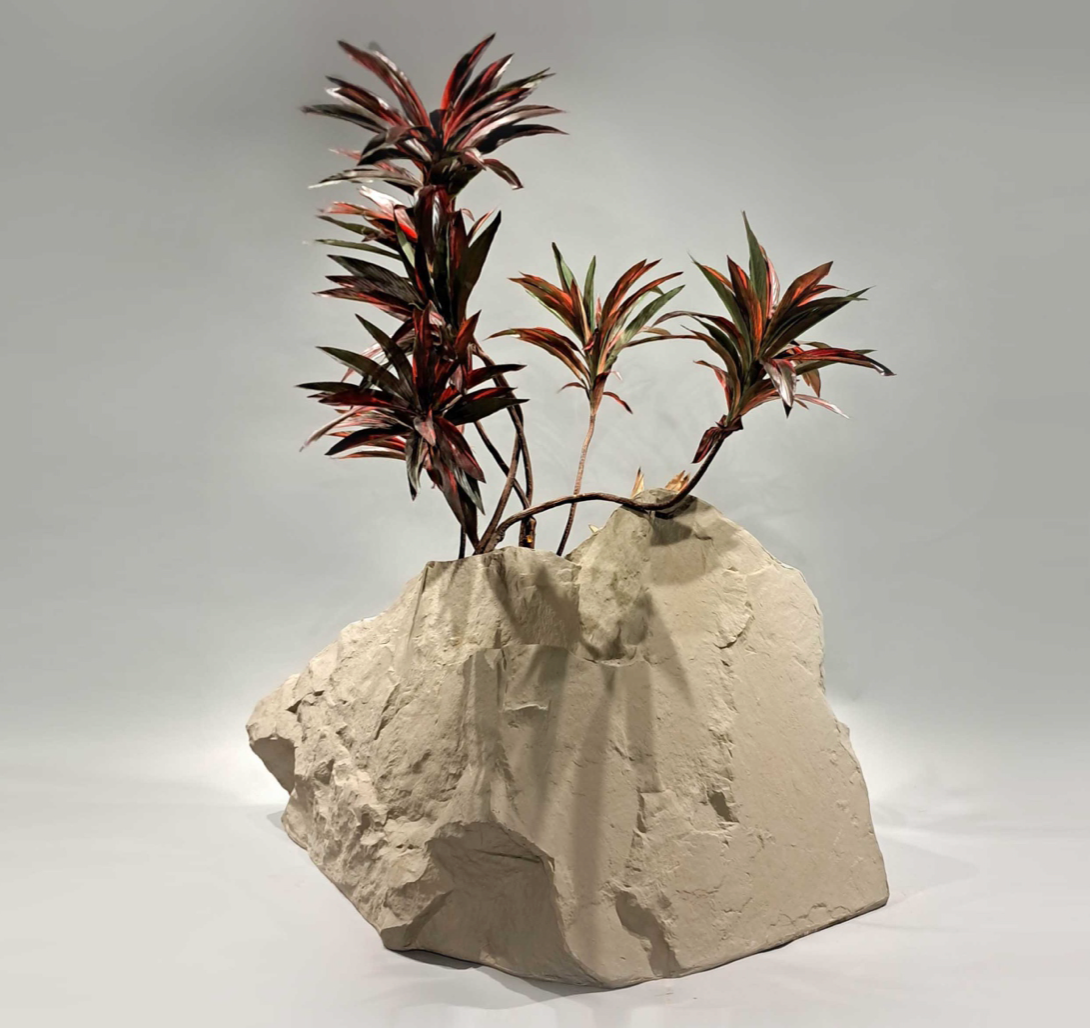 Soren Planter – Bareeki